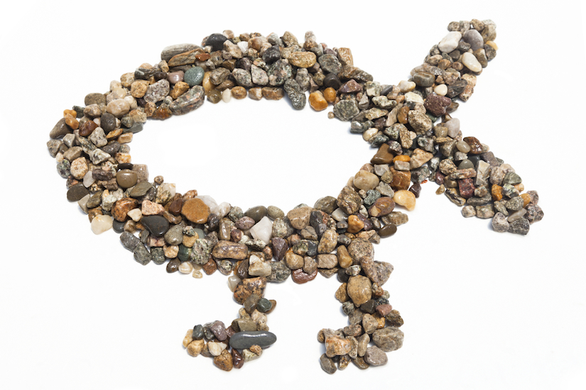 Evolución teísta: un compromiso impío